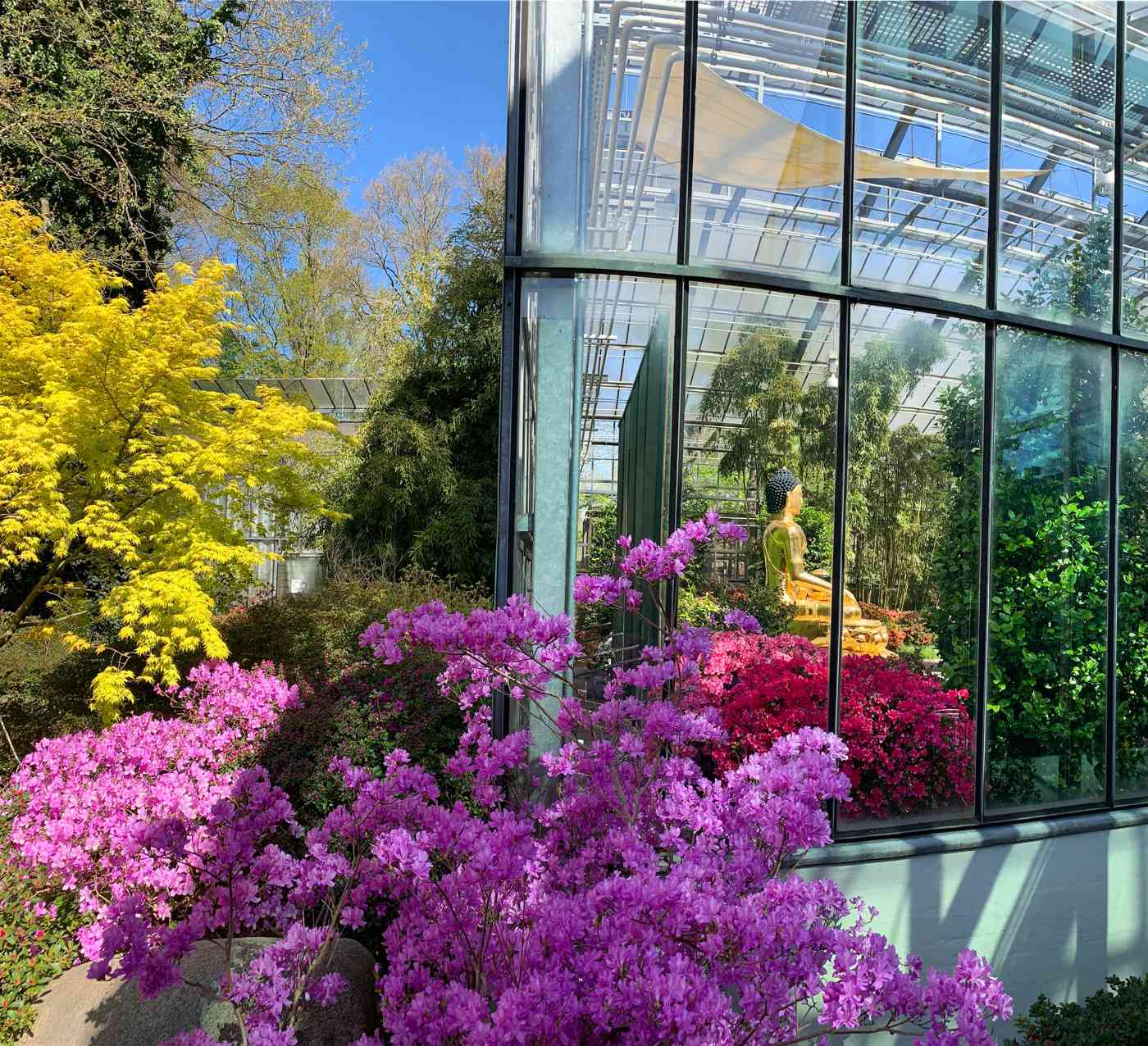 botanica Bremen